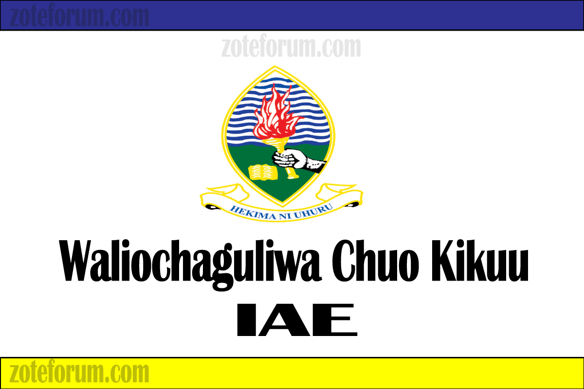 IAE Selected Applicants 2025/2026 (Majina Ya Waliochaguliwa Chuo Kikuu Cha IAE 2025/26 ...