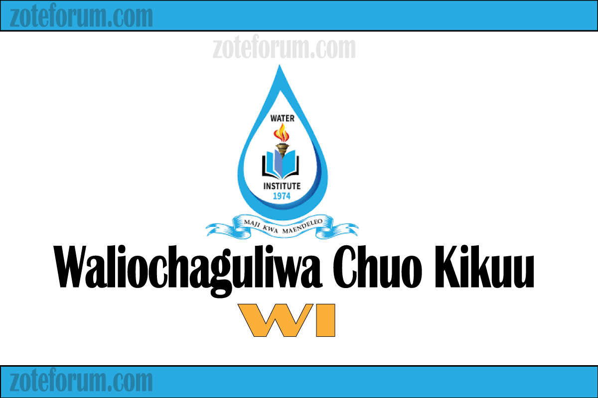 Water Institute (WI) Selected Applicants 2025/2026 pdf (Majina Ya ...