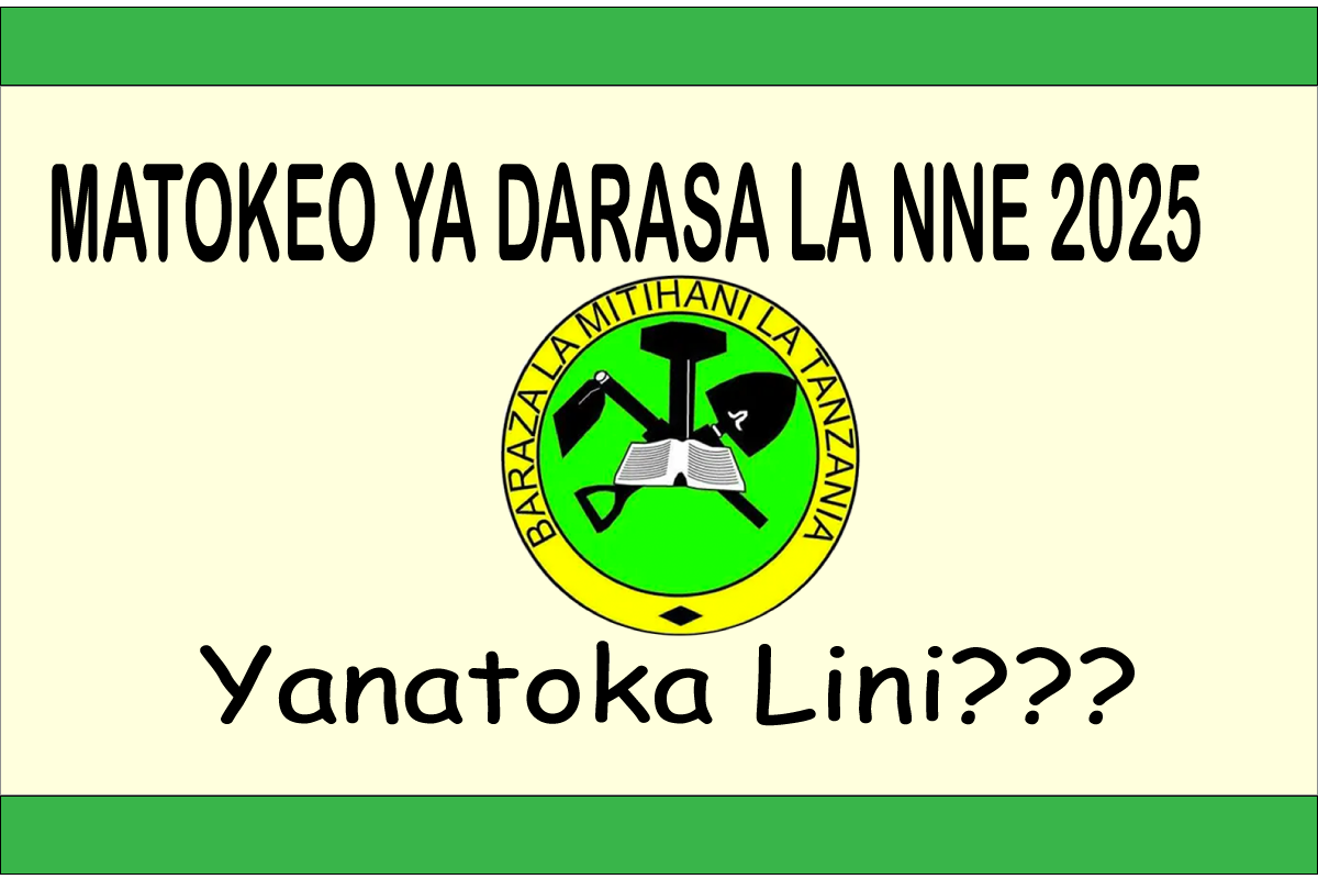 Matokeo ya Darasa la Nne 2025: Tazama Matokeo ya Wanafunzi Wote Hapa ...